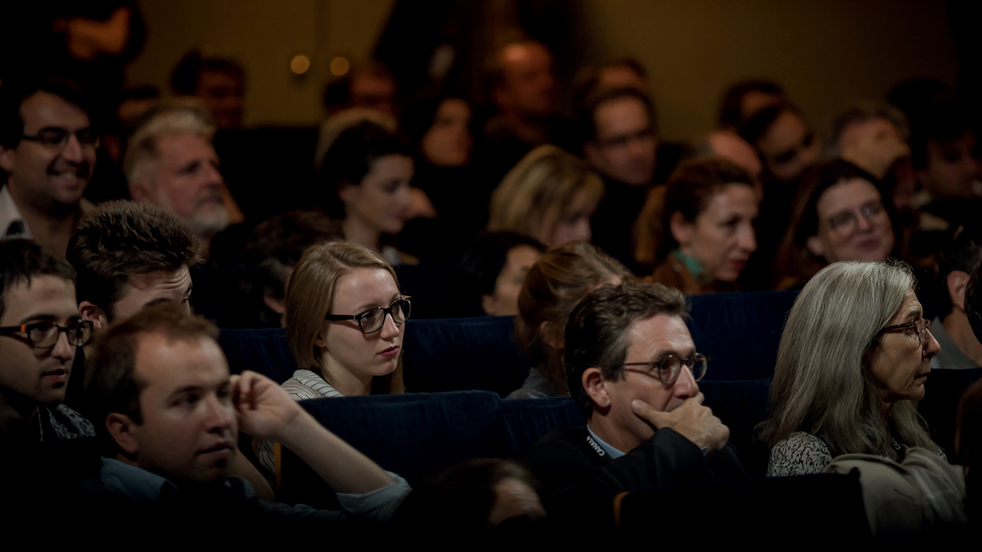 Cavalry, le spécialiste de l’animation 2D procédurale - Moovee