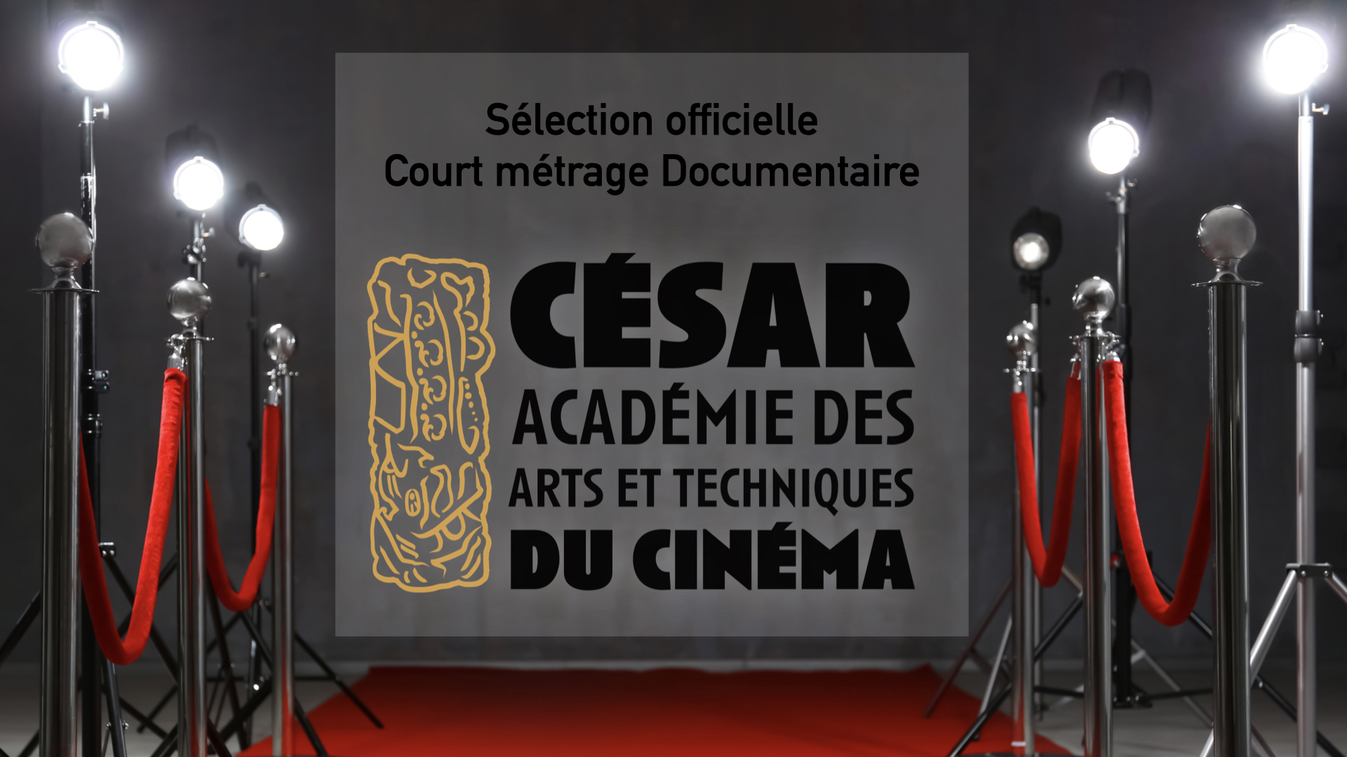 12 courts métrages en lice pour les César 2022 - Moovee