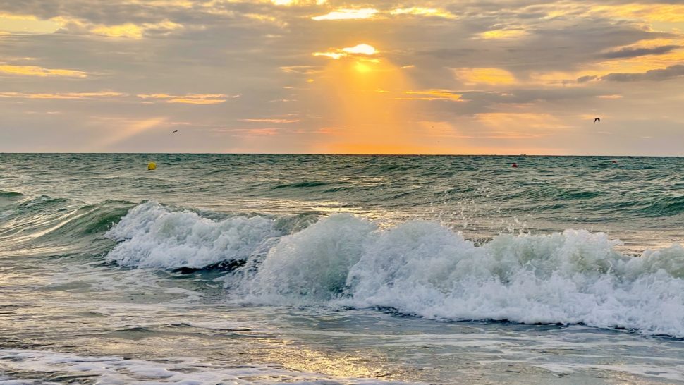 Moovee - Nouveaux écrans, nouveaux talents